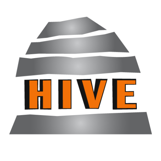 HIVE Pakistan: Social Impact Organization for Community Growth